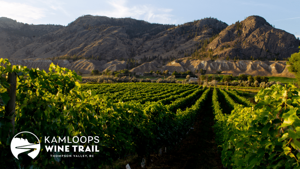 Winery Zoom Backgrounds - Kamloops Wine Trail