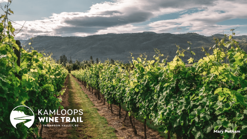 Winery Zoom Backgrounds - Kamloops Wine Trail